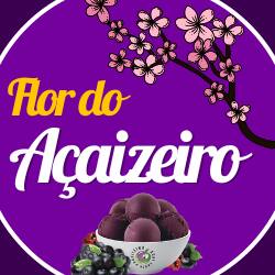 Açaí Flor do Açaizeiro | CAMPINAS | iFood