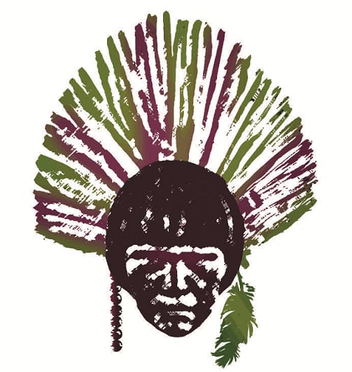 Amazon Fruit | FLORIANOPOLIS | iFood