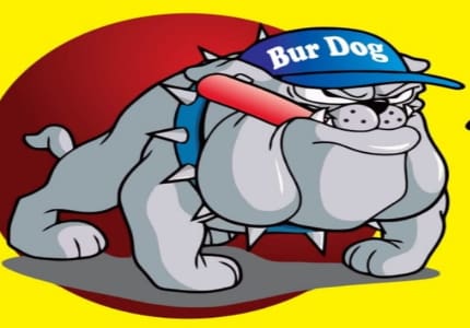 Bur Dog | Colombo | iFood