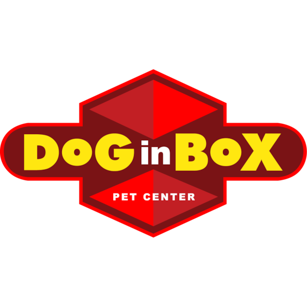 Dog in Box | CAMPO GRANDE | iFood